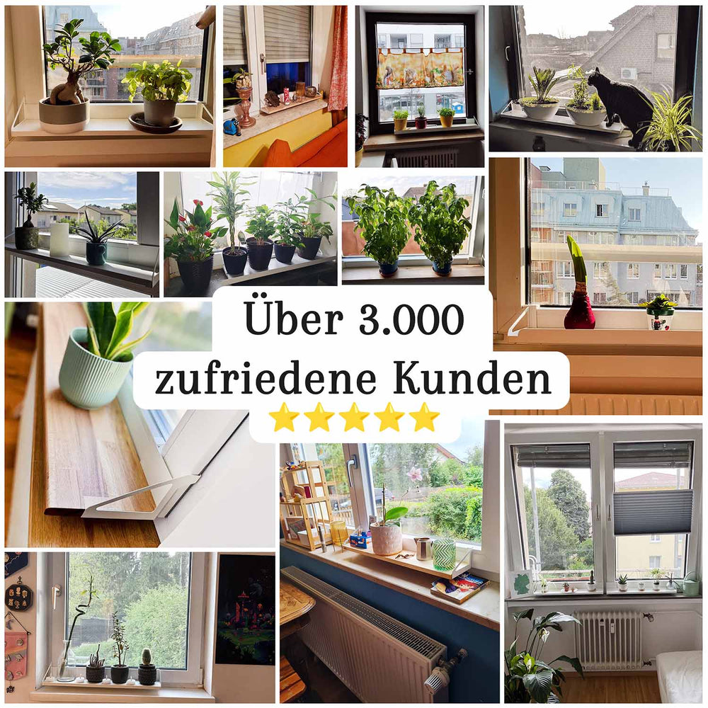 frischluft Fensterbrett