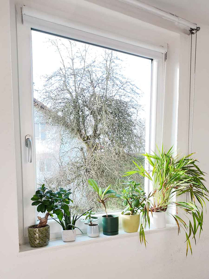 frischluft Fensterbrett - Die erste mobile Fensterbank